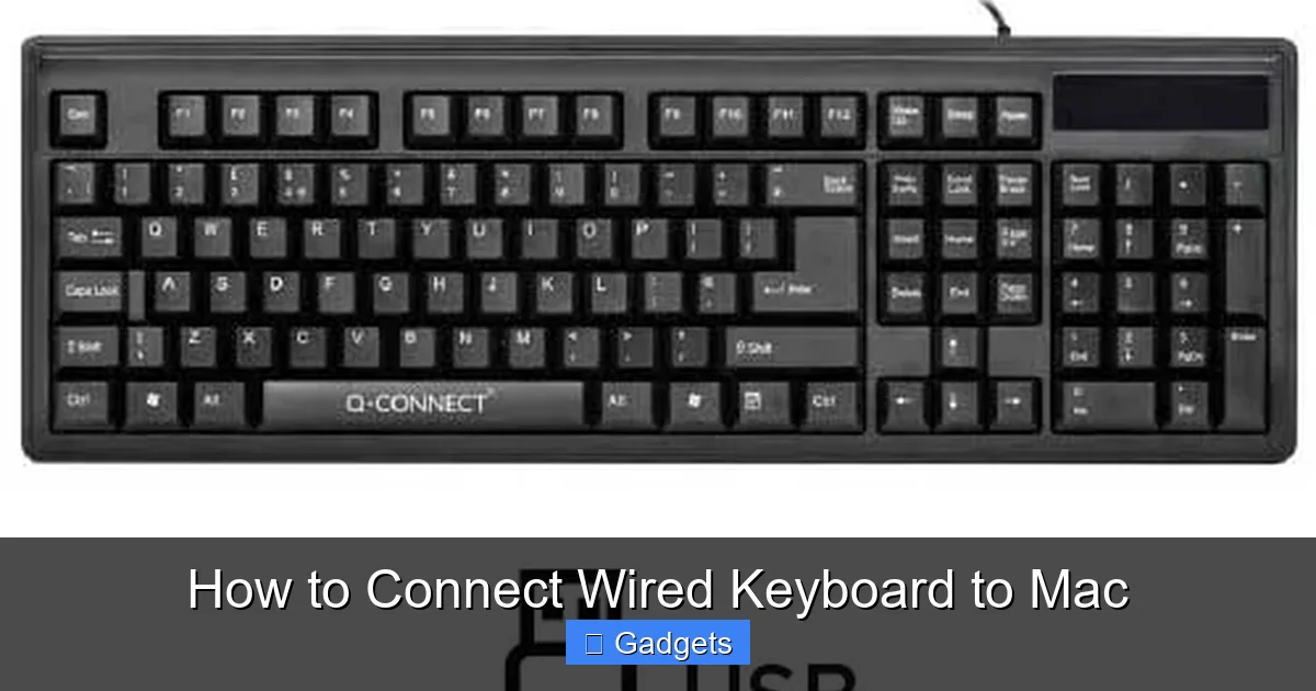 How to Connect Wired Keyboard to Mac | ShoukhinTech